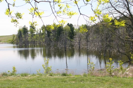 Campground Details - Brushy Creek State Recreation Area, IA - Iowa ...