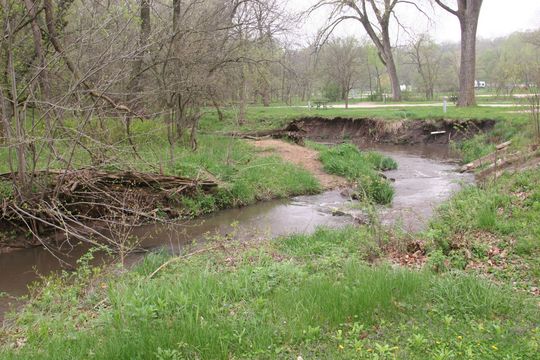 Campground Details - Springbrook State Park, IA - Iowa State Parks