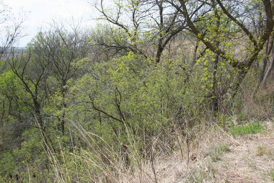 Campground Details - Stone State Park, IA - Iowa State Parks
