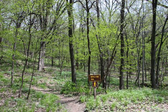 Campground Details - Stone State Park, IA - Iowa State Parks