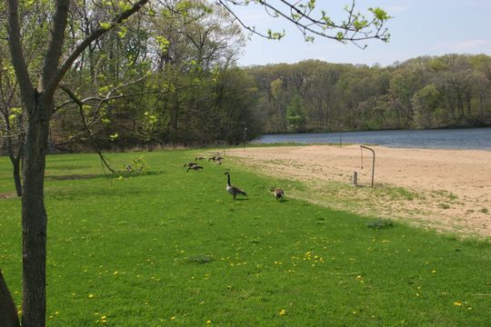 Campground Details - Geode State Park, IA - Iowa State Parks