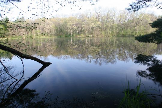 Campground Details - Shimek Forest Campground, IA - Iowa State Parks
