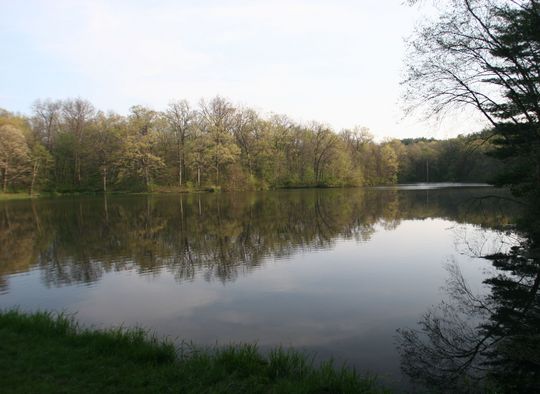 Campground Details - Shimek Forest Campground, IA - Iowa State Parks