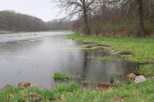 Campground Details - Red Haw State Park, IA - Iowa State Parks