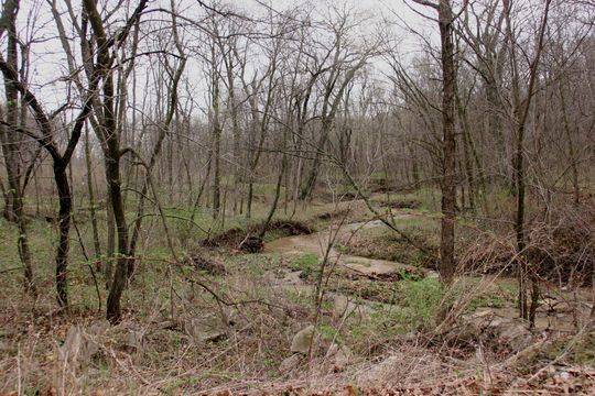 Campground Details - Stephens Forest Campground, IA - Iowa State Parks