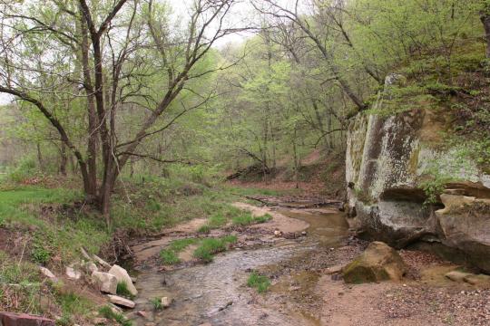 Campground Details - Ledges State Park, IA - Iowa State Parks