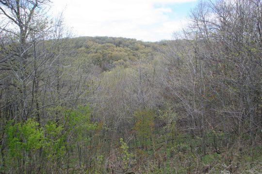 Campground Details - Fort Defiance State Park, IA - Iowa State Parks