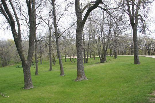 Campground Details - Fort Defiance State Park, IA - Iowa State Parks