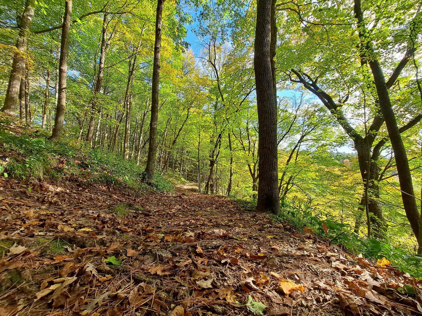Campground Details - Backbone State Park, IA - Iowa State Parks