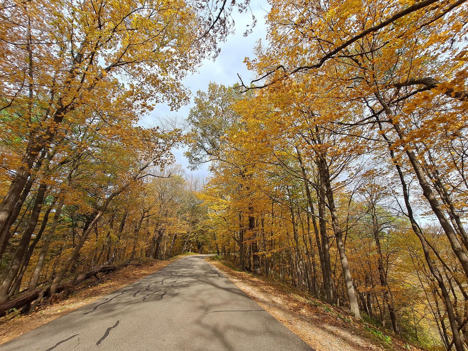 Campground Details - Backbone State Park, IA - Iowa State Parks
