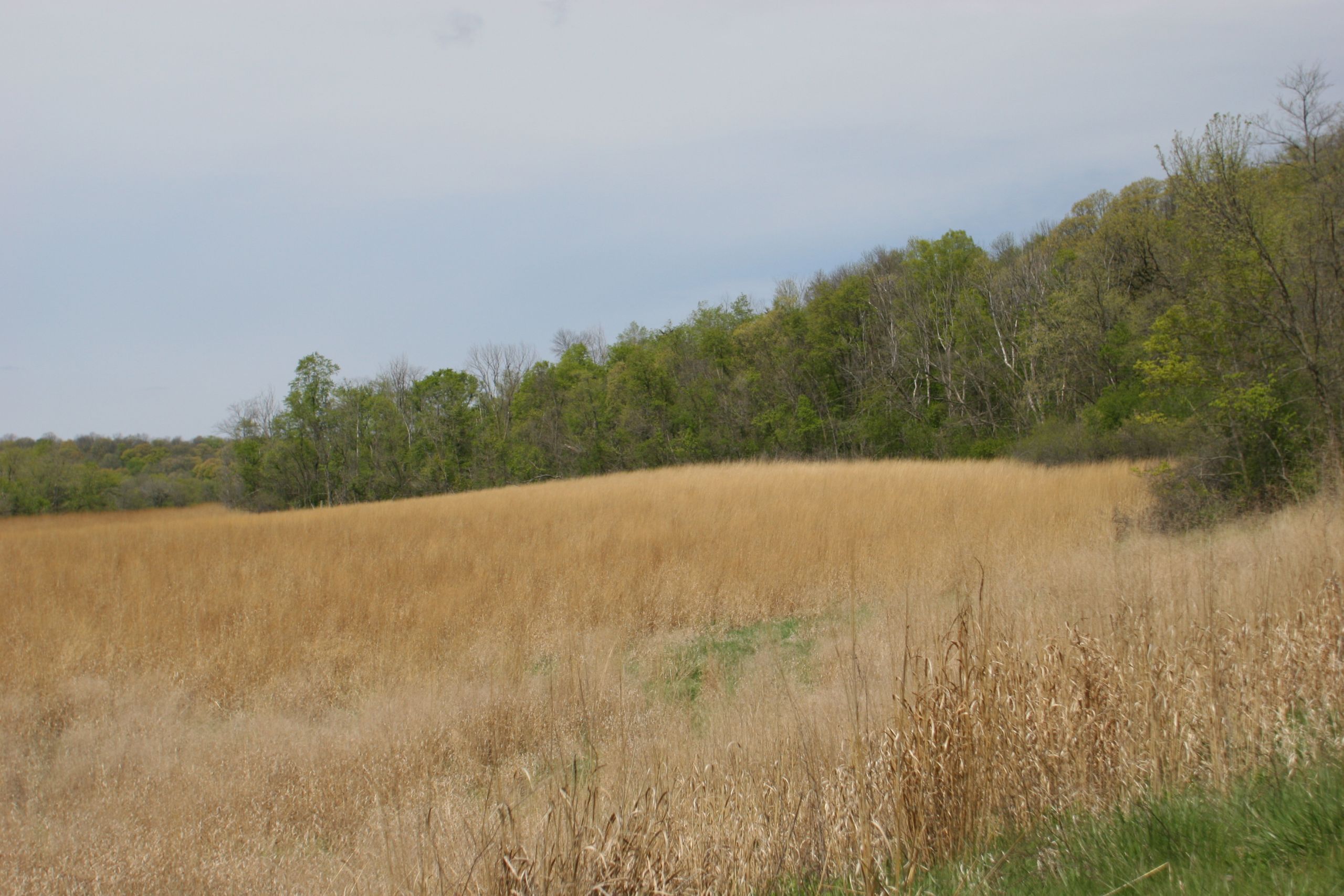 Campground Details - Brushy Creek State Recreation Area, IA - Iowa ...