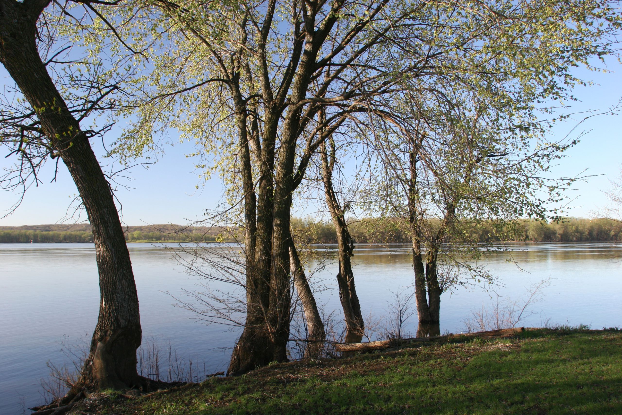 Campground Details - Fairport State Recreation Area, IA - Iowa State Parks