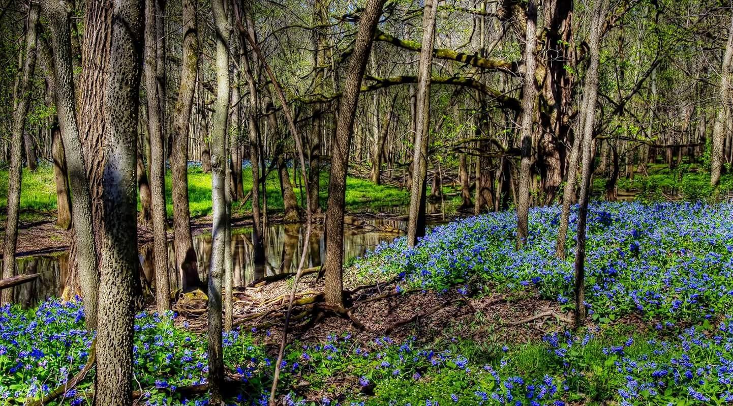 Campground Details - George Wyth State Park, IA - Iowa State Parks