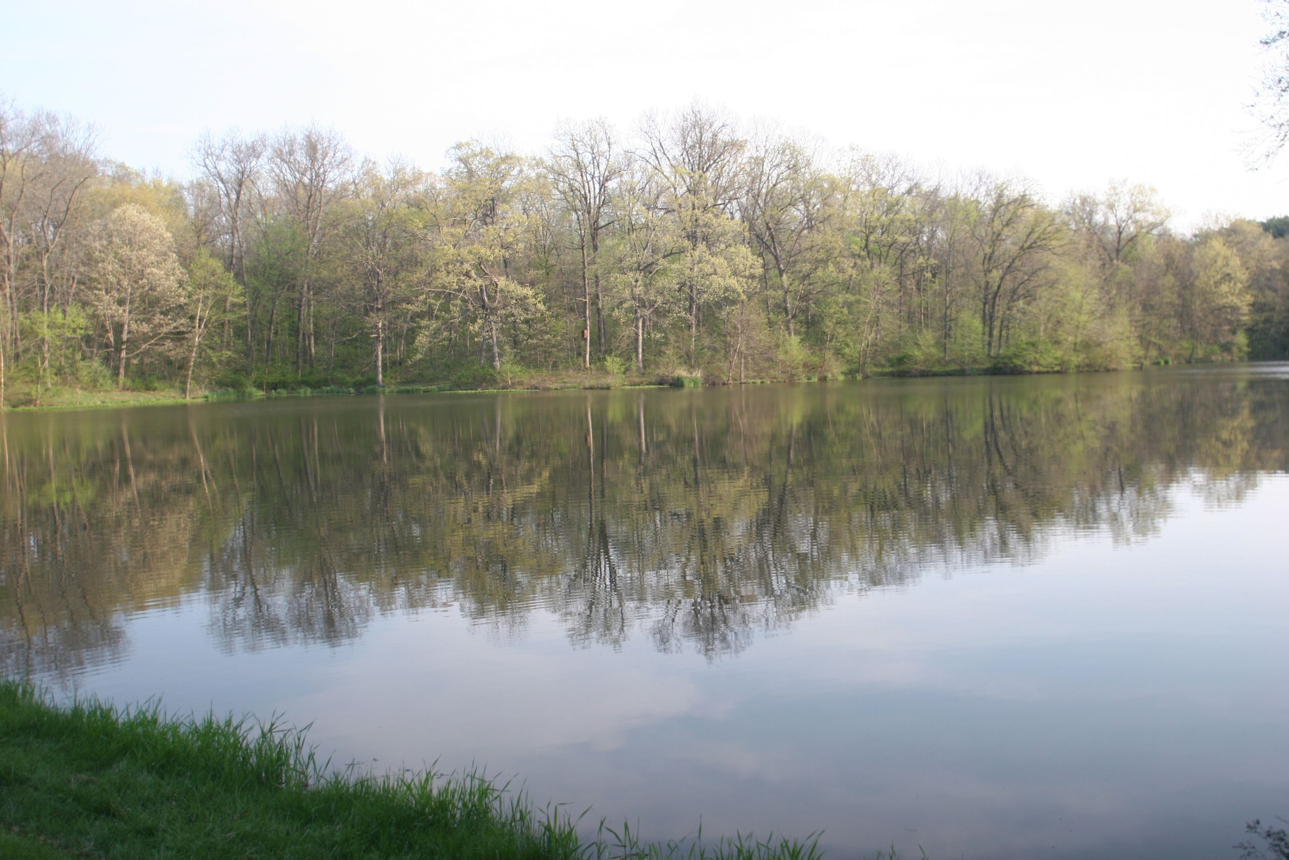 Campground Details - Shimek Forest Campground, IA - Iowa State Parks